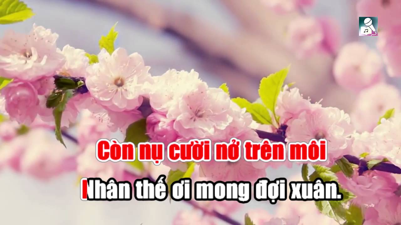 10 ca khúc nhạc xuân 'made in Việt Nam' làm nên vị Tết