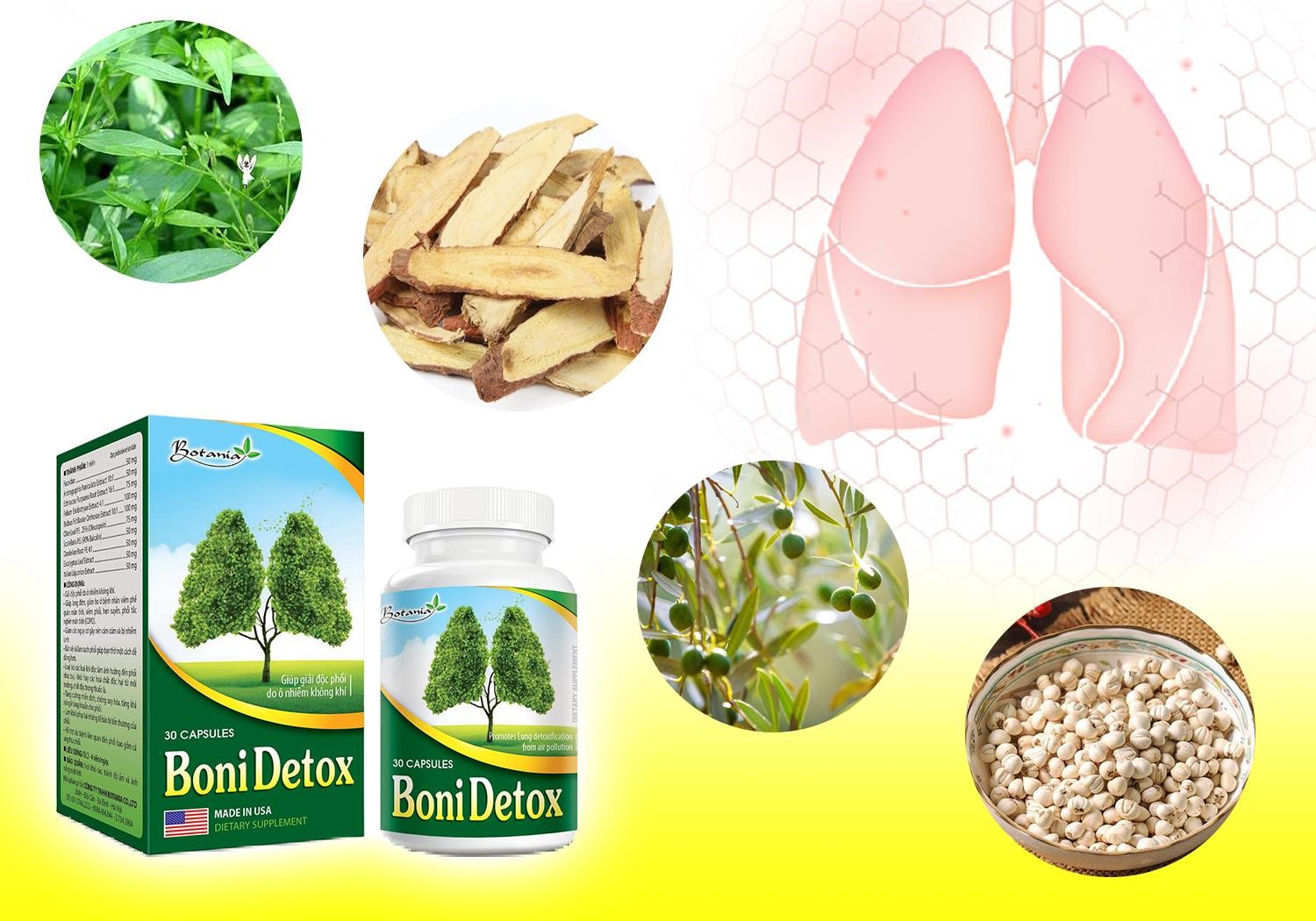 Bí quyết thảo dược của Mỹ hỗ trợ lá phổi yếu khỏe mạnh hơn