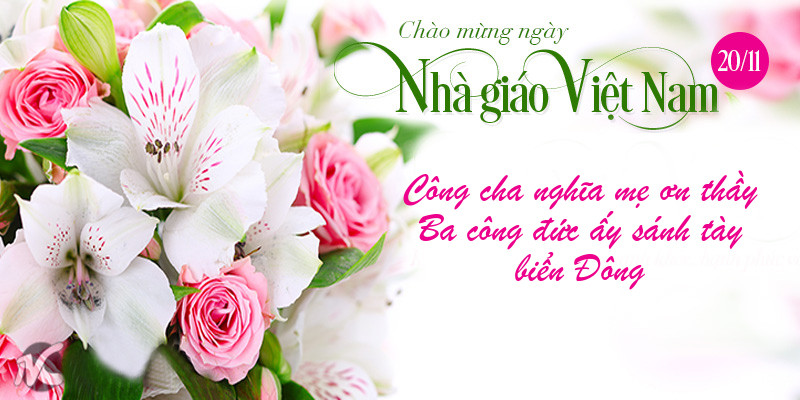 Lời Chúc Ngày Nhà Giáo Việt Nam 20 11 Hay Và ý Nghĩa Nhất