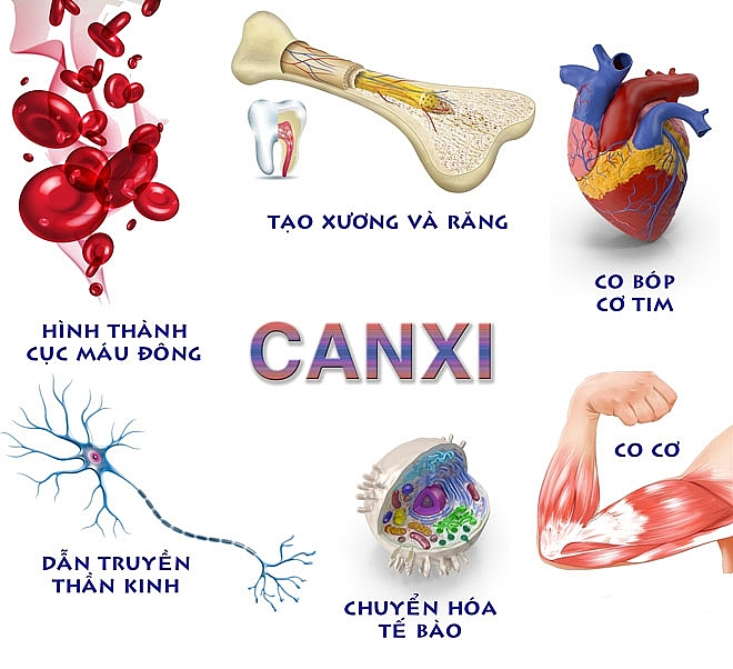 Sản phẩm bổ sung canxi cho người cao tuổi