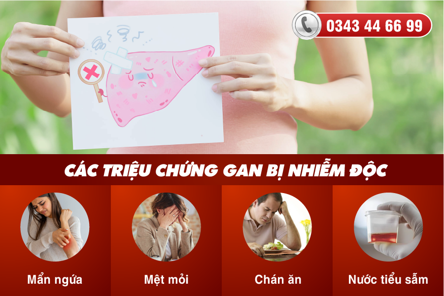 Cách giải độc gan an toàn, hiệu quả