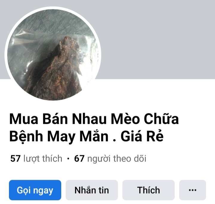 Nhau mèo đen được quảng cáo như vật hút tài lộc, chữa bách bệnh, bán với giá 'trên trời'