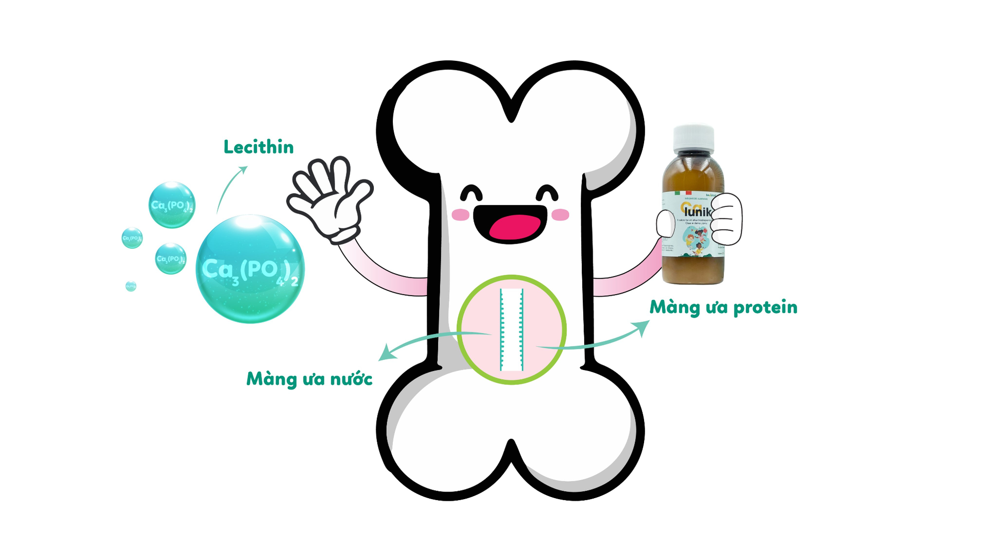 Canxi sinh học thế hệ mới từ Châu Âu giúp tăng chiều cao vượt trội