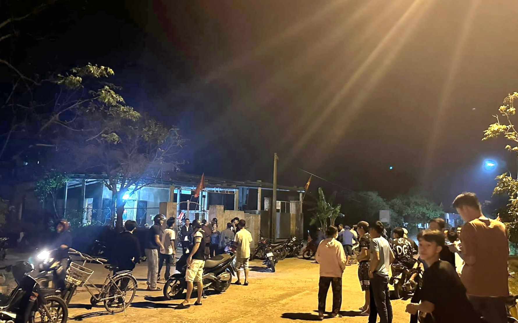 3 người thương vong do bị trâu "điên" tấn công