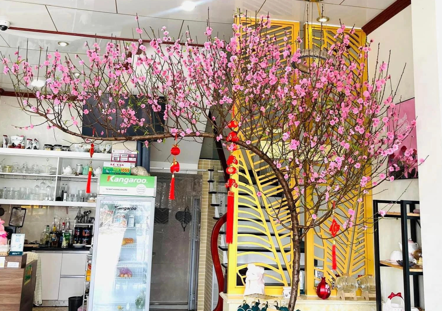 Hoa đào nở 'không phanh' trong thời tiết nồm ẩm