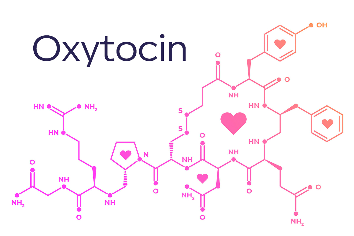 Hormone hạnh phúc Oxytocin là gì