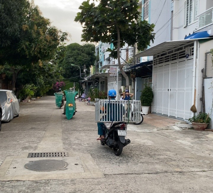 Chuyện về đội săn bắt chó thả rông