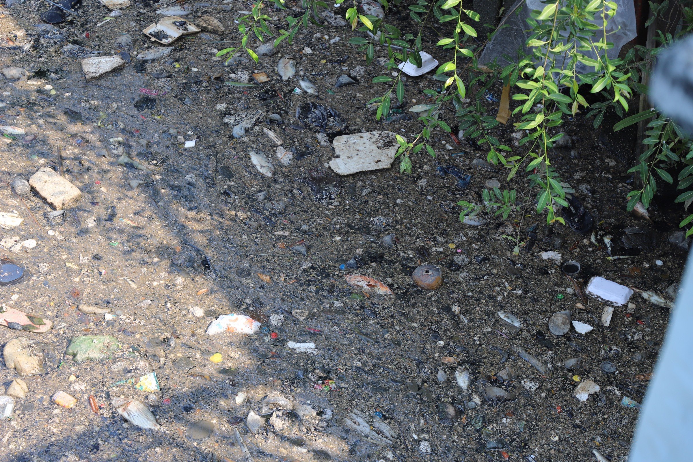 Sau mưa, nhiều kênh rạch tại TPHCM nổi đầy rác