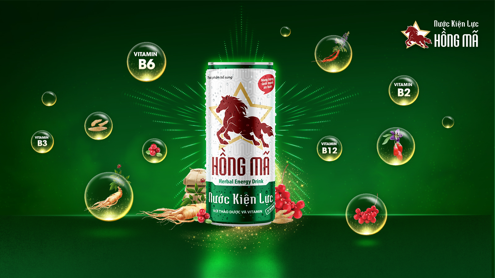 Khám phá song vị sâm – Bí quyết tăng sức bền trong nước kiện lực