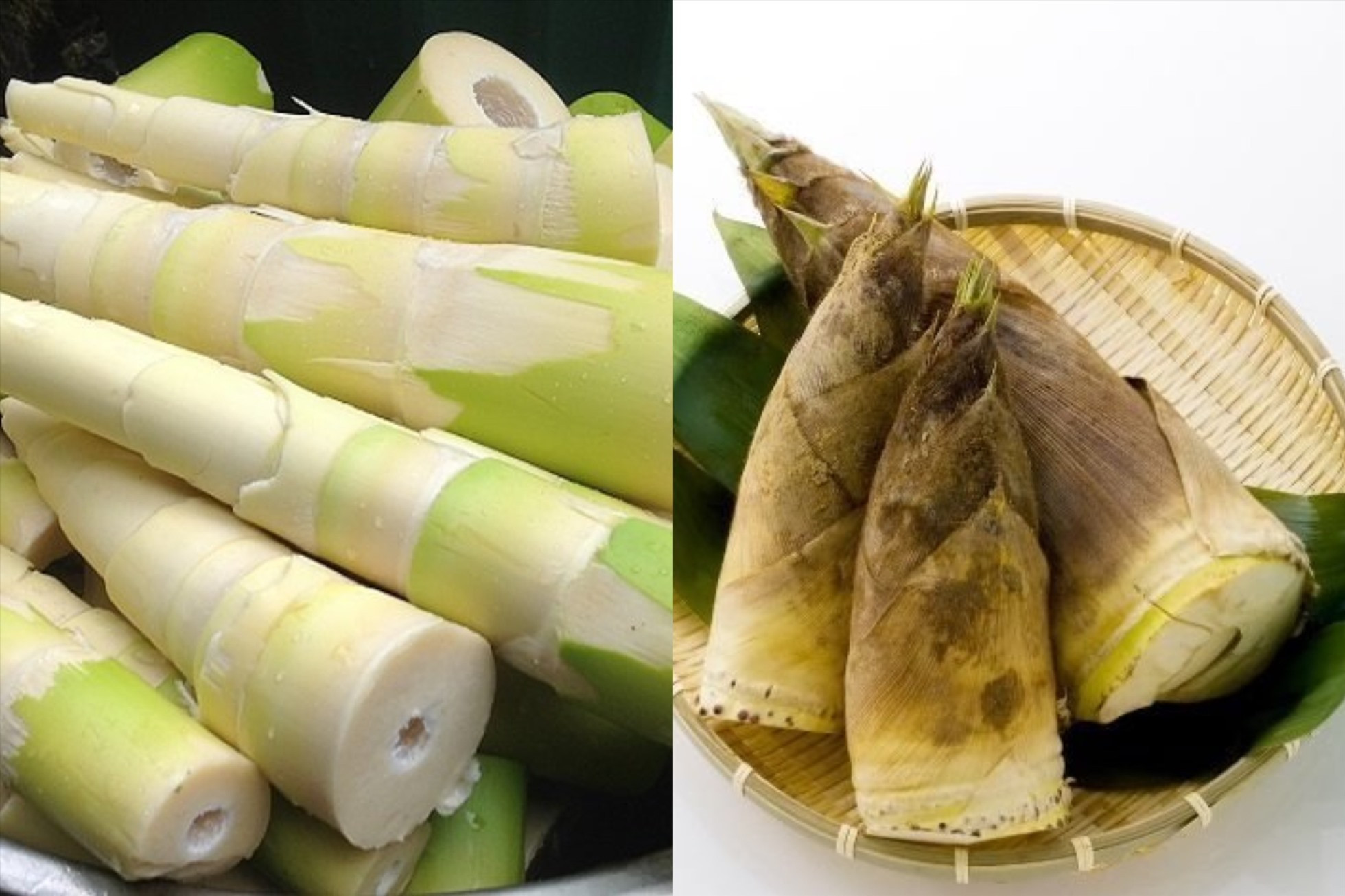 Xyanua - chất kịch độc gây tử vong sau 5 phút nhiễm độc