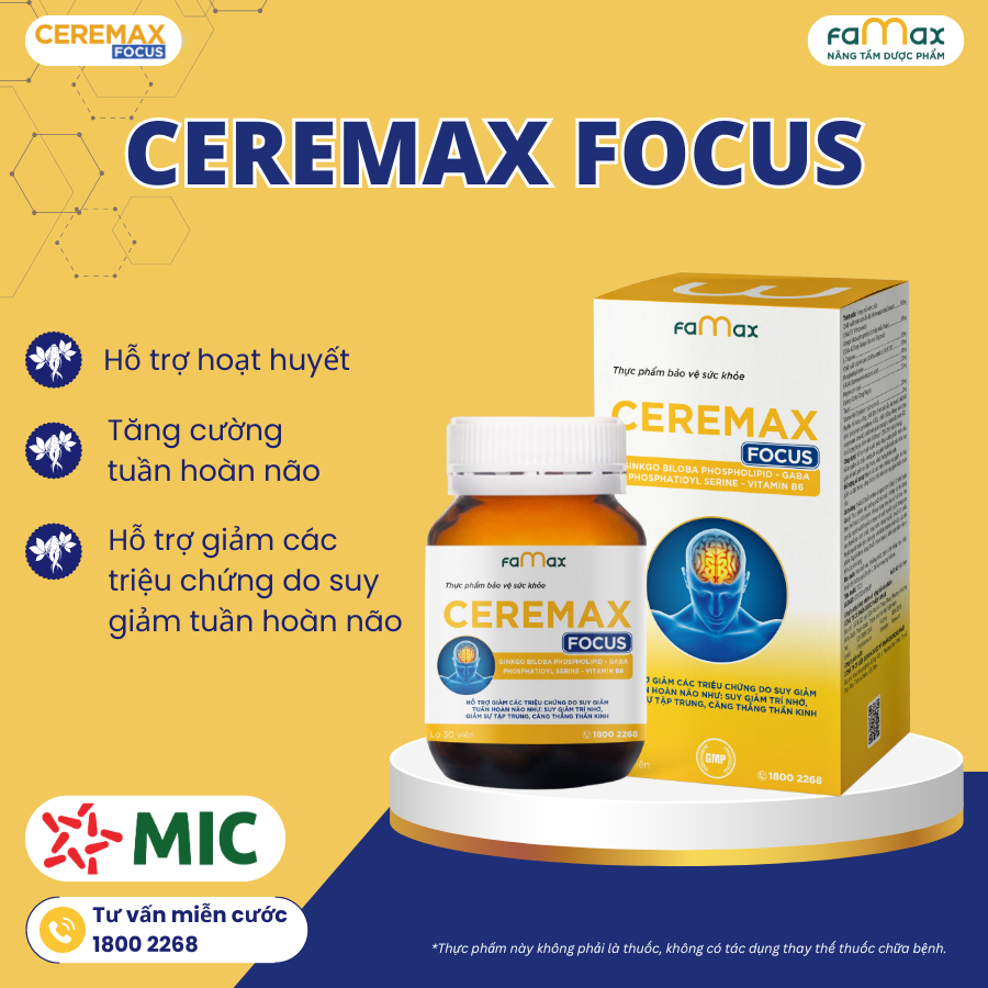 Công nghệ mới Phytosome - Bước tiến mới hỗ trợ sức khỏe trí não