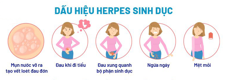 Mụn rộp sinh dục (Herpes): Nguyên nhân, triệu chứng và cách điều trị, phòng ngừa