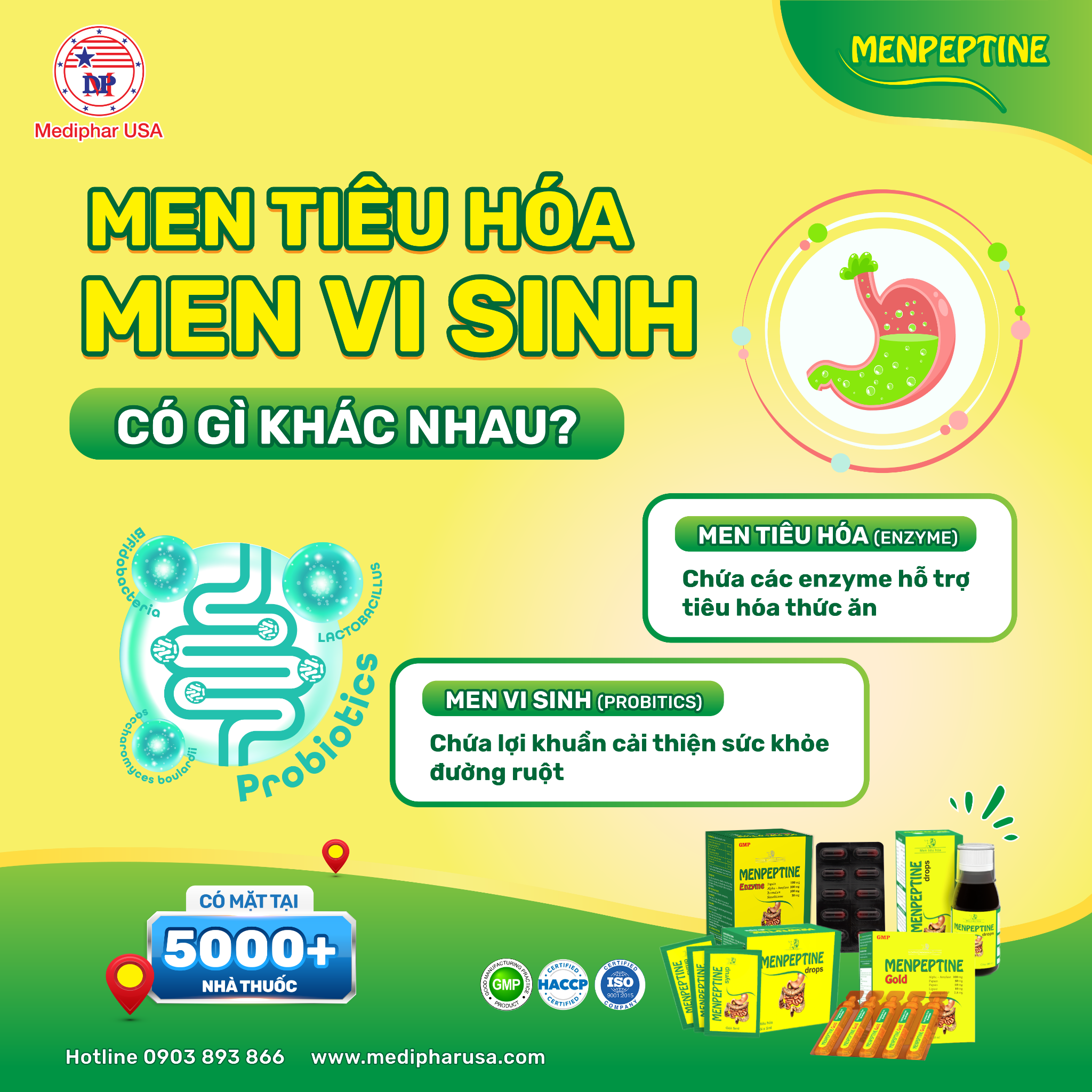 Men vi sinh và men tiêu hóa: Phân biệt đúng để sử dụng hiệu quả
