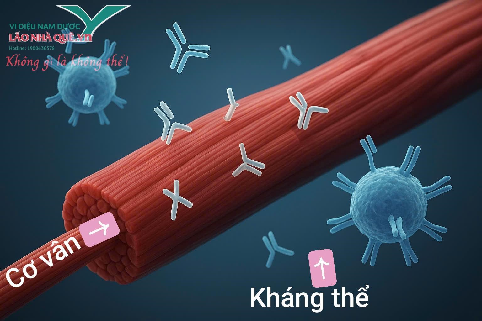 Trị liệu khai thông cột sống – hỗ trợ phục hồi cho bệnh nhân kháng thể ...