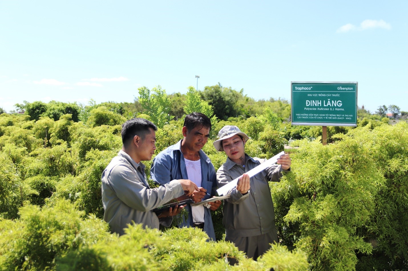 Traphaco – Lá cờ đầu trong hành trình phát triển ngành dược Việt Nam