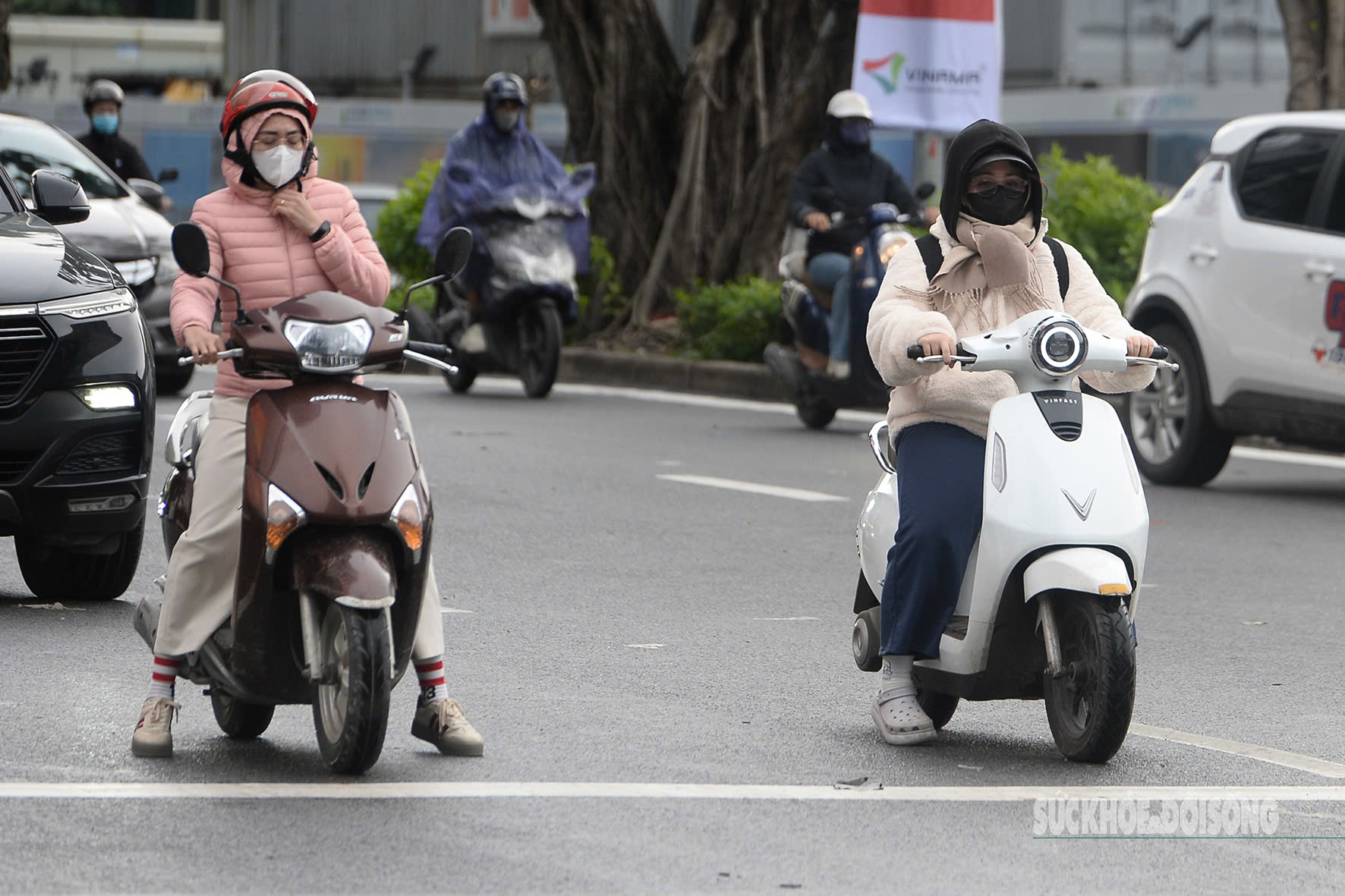 Bắc Bộ rét đậm, vùng núi đề phòng băng giá