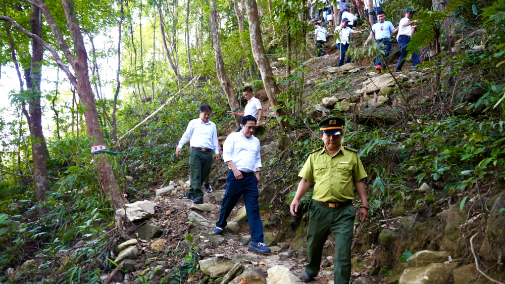 Mengapa jalan menuju puncak Gunung Bach Ma belum diperbaiki setelah ...
