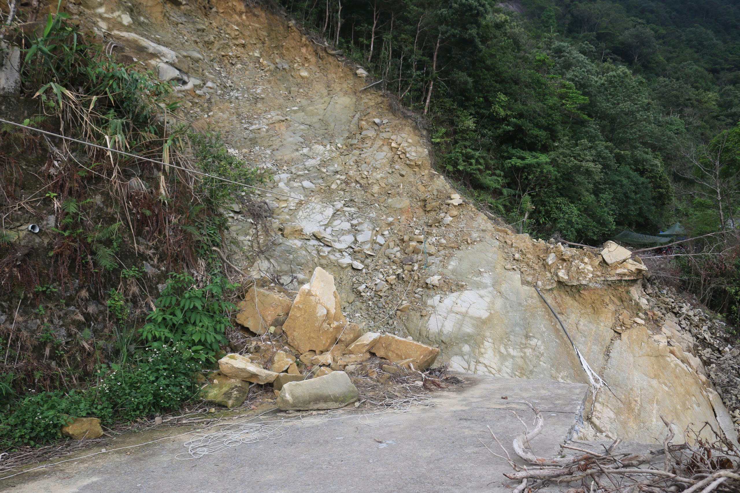 Mengapa jalan menuju puncak Gunung Bach Ma belum diperbaiki setelah ...