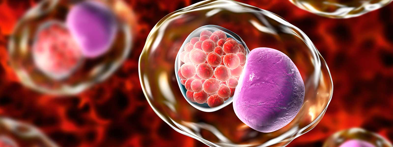 Những dấu hiệu cảnh báo nhiễm khuẩn Chlamydia gây nguy cơ vô sinh