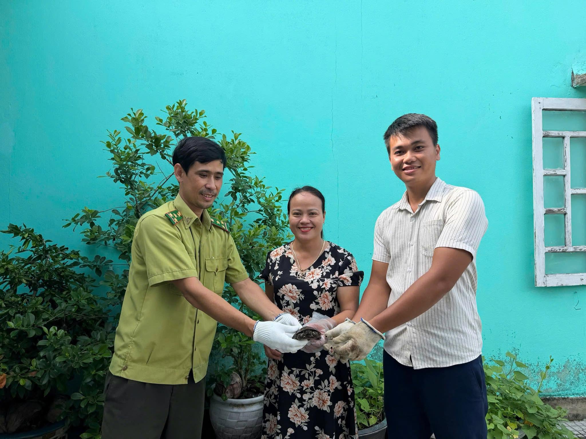 Hàng chục cá thể động vật quý hiếm được người dân ở Huế tự nguyện giao nộp
