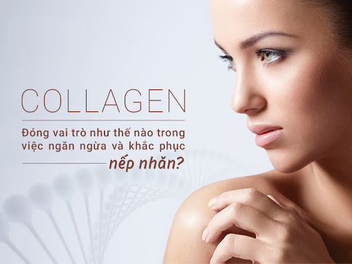 Nano Collagen - chìa khóa níu giữ thanh xuân dành cho bạn