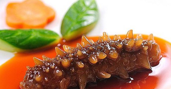 Tác dụng của nhân sâm biển đối với sức khỏe và cách sử dụng