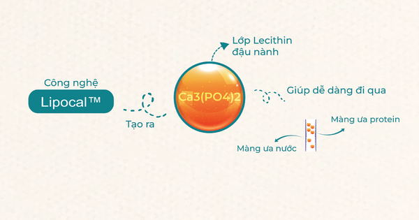 Tìm hiểu canxi sinh học là gì và tác dụng của nó trong cơ thể