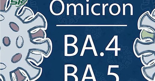 TP.HCM phát hiện 3 ca nhiễm BA.4, BA.5 tại huyện Củ chi và TP Thủ Đức