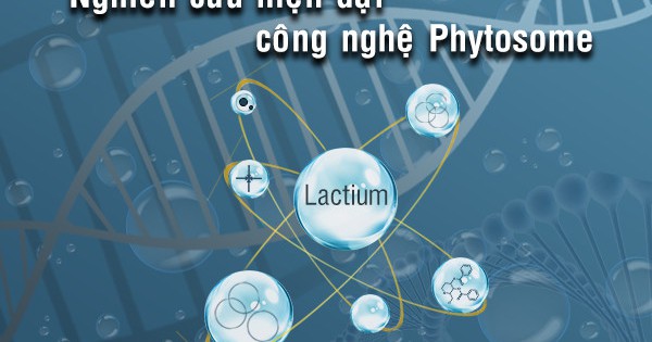 Lactium và Melatonin từ công nghệ Phytosome – Bộ đôi hoạt chất chăm sóc ...