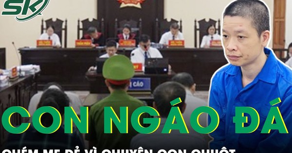Con trai ngáo đá sát hại mẹ đẻ vì chuyện con chuột nhận án 12 năm tù giam
