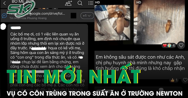 Trường Newton thông tin vụ việc xuất hiện côn trùng nghi là gián trong suất ăn của học sinh