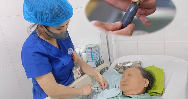 Ngộ độc sau khi ăn mật cá trôi để bồi bổ