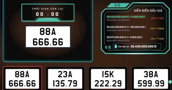 Đấu giá biển số xe, chốt biển 88A-666.66 gần 30 tỷ đồng