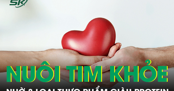 Bảo vệ trái tim khoẻ mạnh nhờ một số loại thực phẩm giàu protein