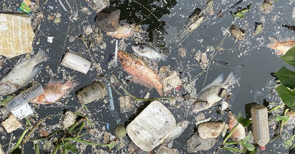 Sau mưa, nhiều kênh rạch tại TPHCM nổi đầy rác