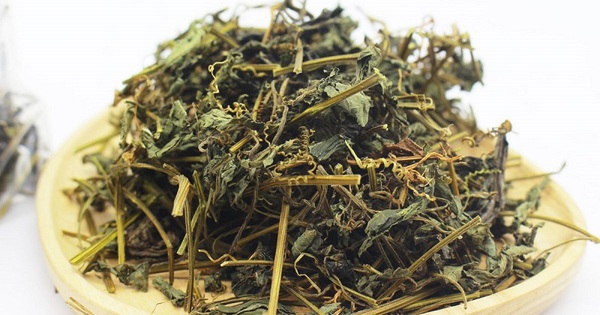 Giảo cổ lam có tác dụng gì?