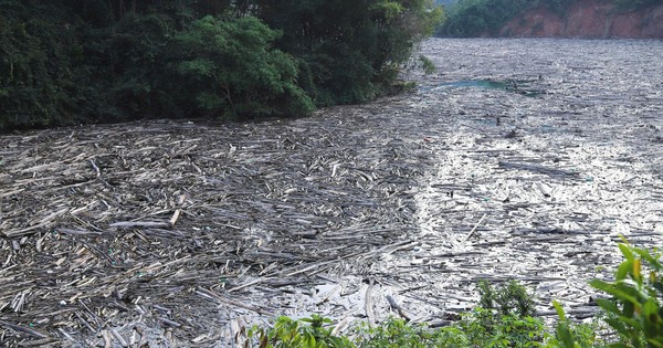 'Biển' gỗ, rác phủ kín lòng hồ thủy điện lớn nhất Bắc Trung Bộ