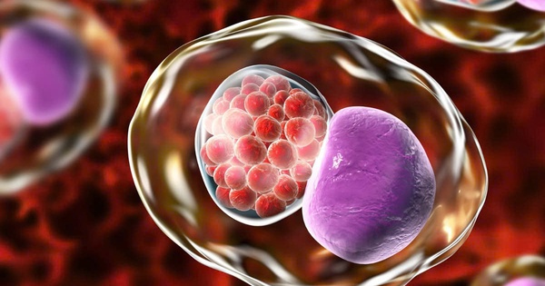5 dấu hiệu cảnh báo nhiễm Chlamydia ở phụ nữ: Nhận biết sớm để phòng ...