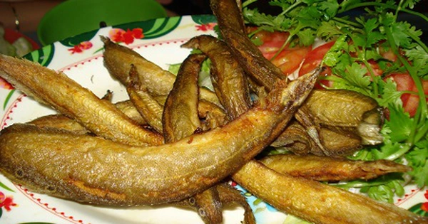 Cá chạch bồi bổ sức khỏe, tăng ham muốn