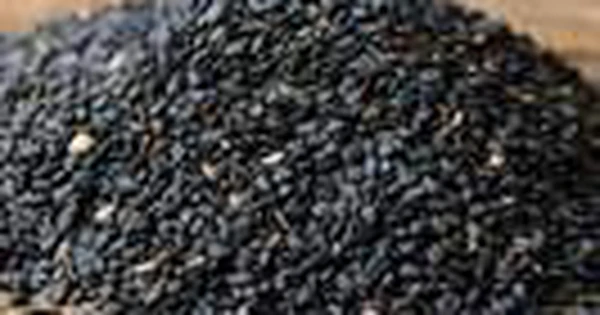 Vừng đen - Vị thuốc quý