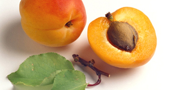 Quả mơ và công dụng đối với sức khỏe