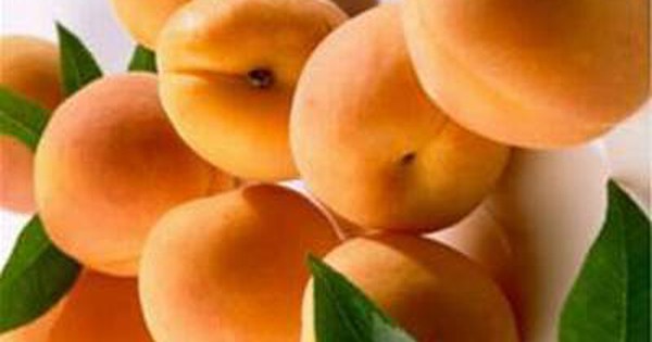 Quả mơ làm thuốc