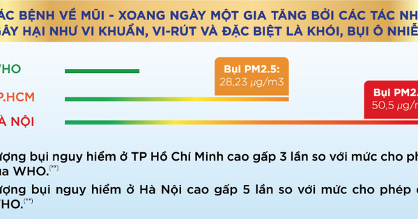 Sự nguy hiểm của bụi mịn PM2.5 và PM10
